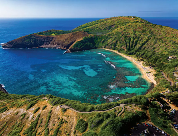 Accessible Beaches at Home and Afar