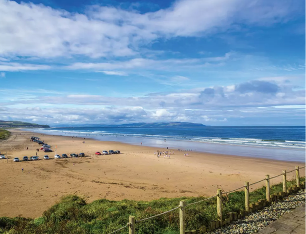 Accessible Beaches at Home and Afar